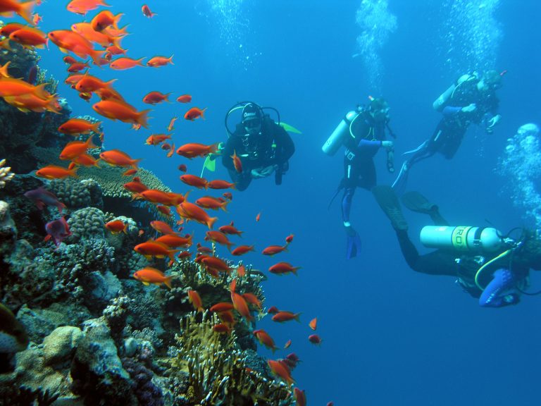 Diving in Red Sea • Atlantis Luxury Travel